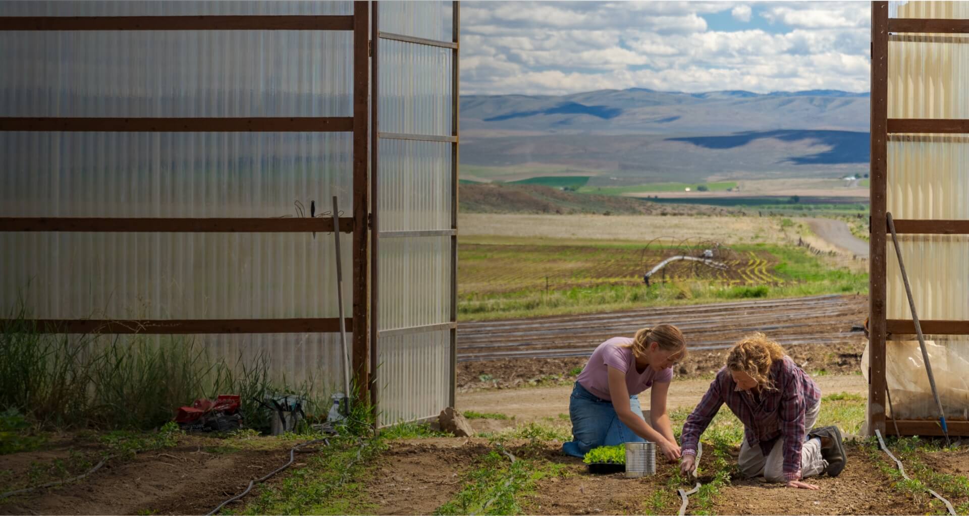 ODA - Revolution Design Group