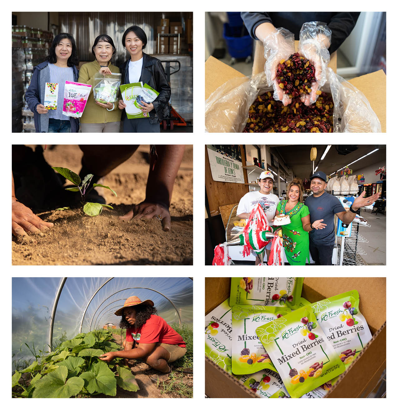 RFP S-44300-0007715 Work Samples - Revolution Design Group